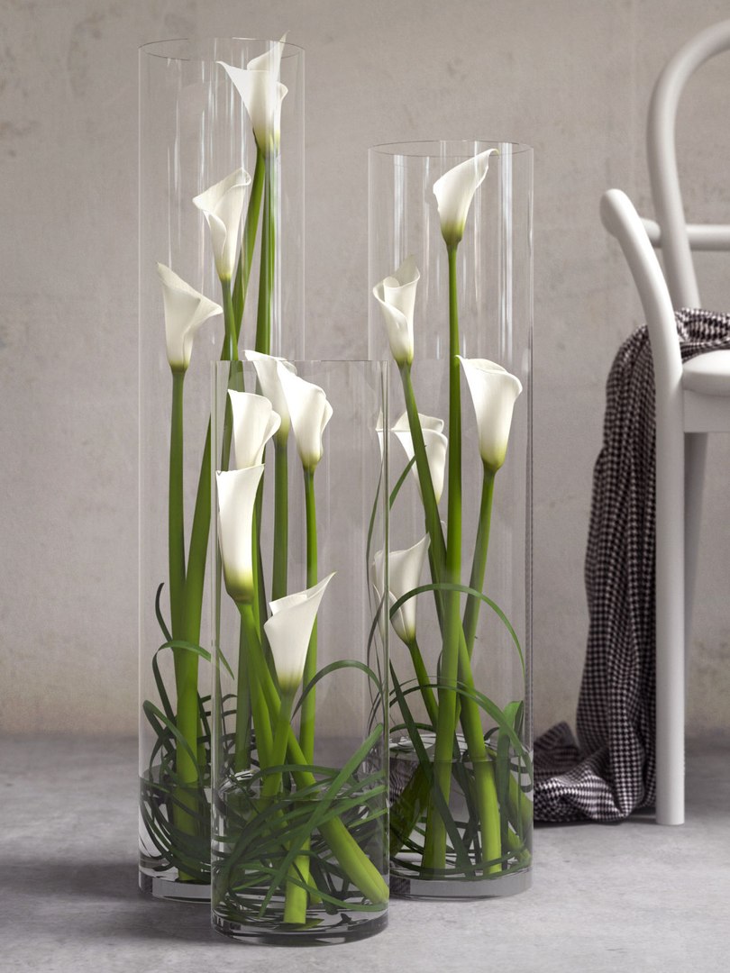 3D Calla Lilies Set - TurboSquid 1225965