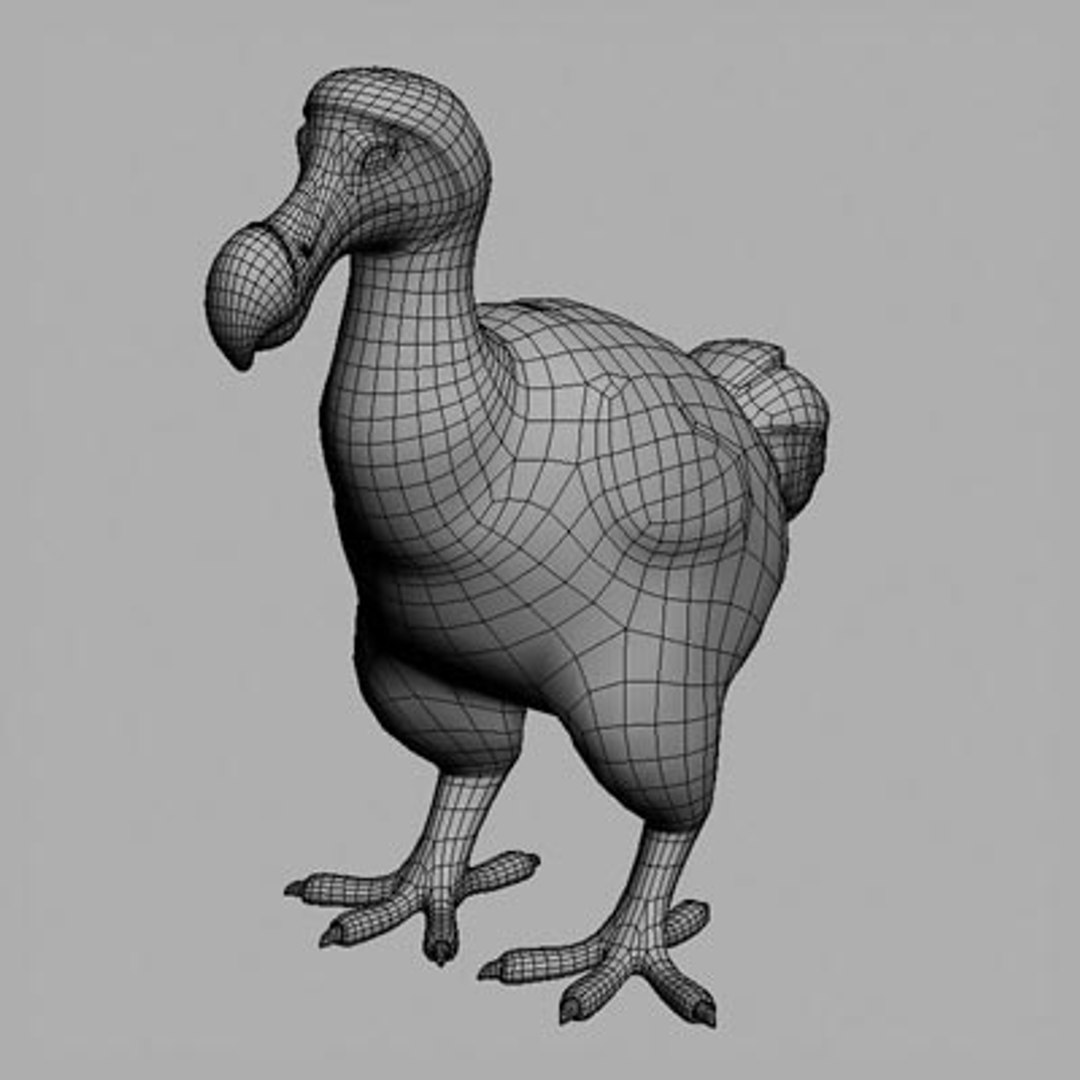 3d Dodo Bird