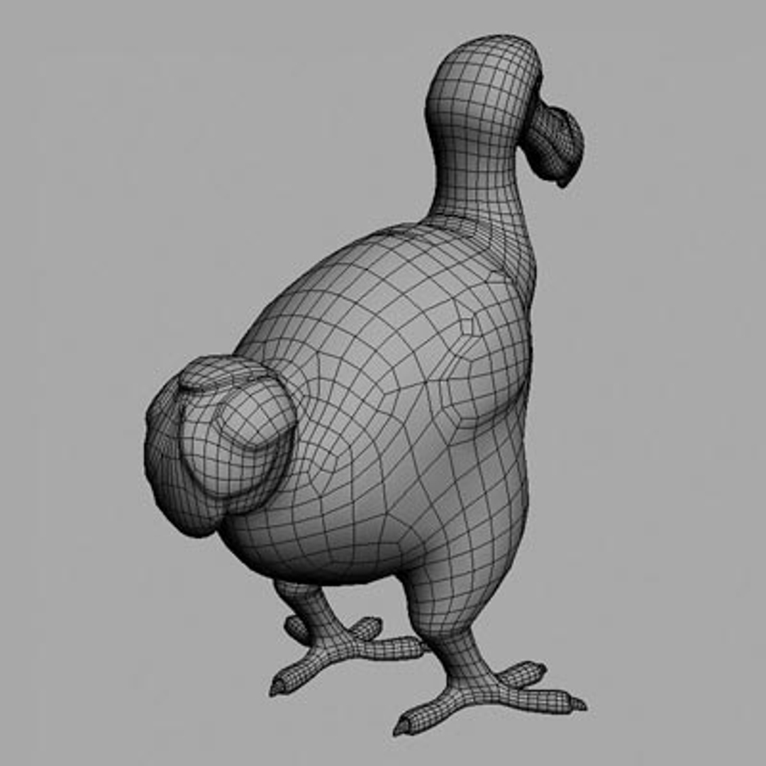 3d dodo bird