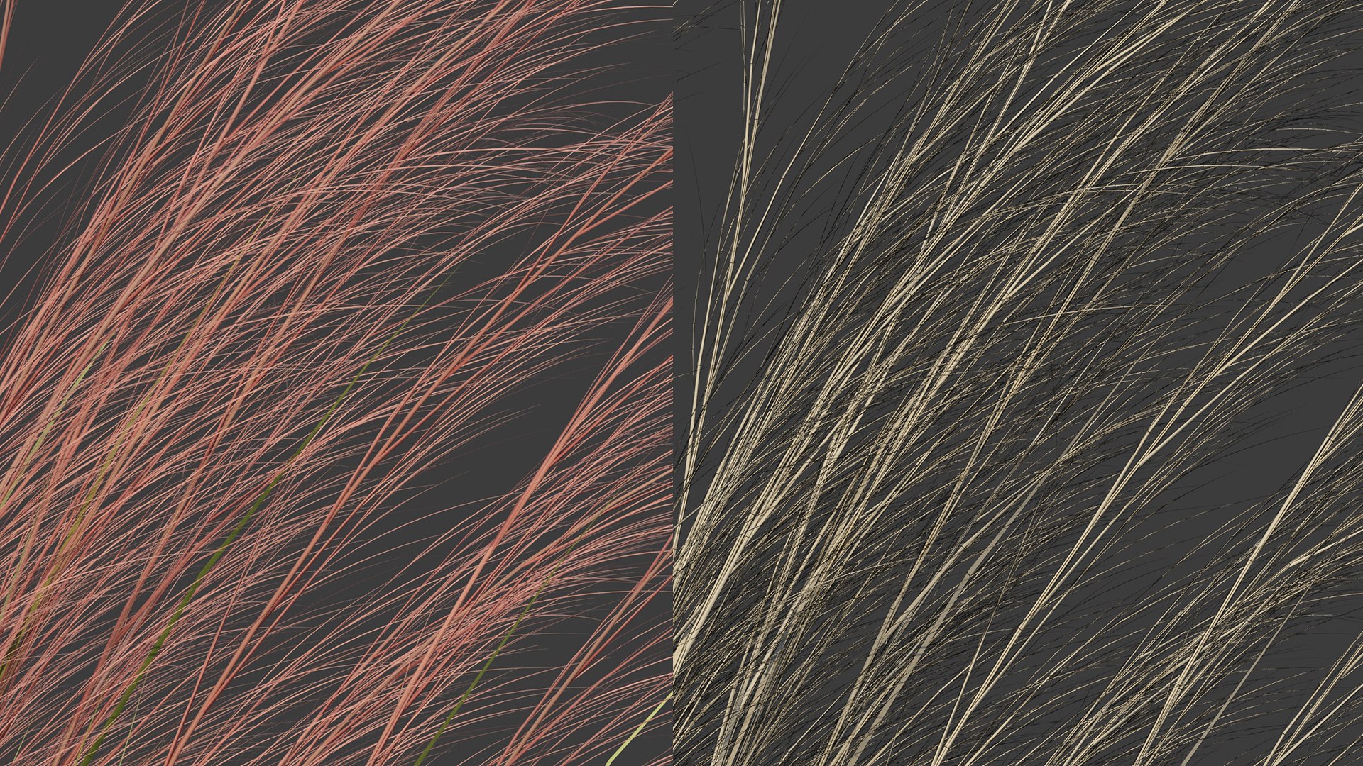 3D Purple Awn - TurboSquid 1664477