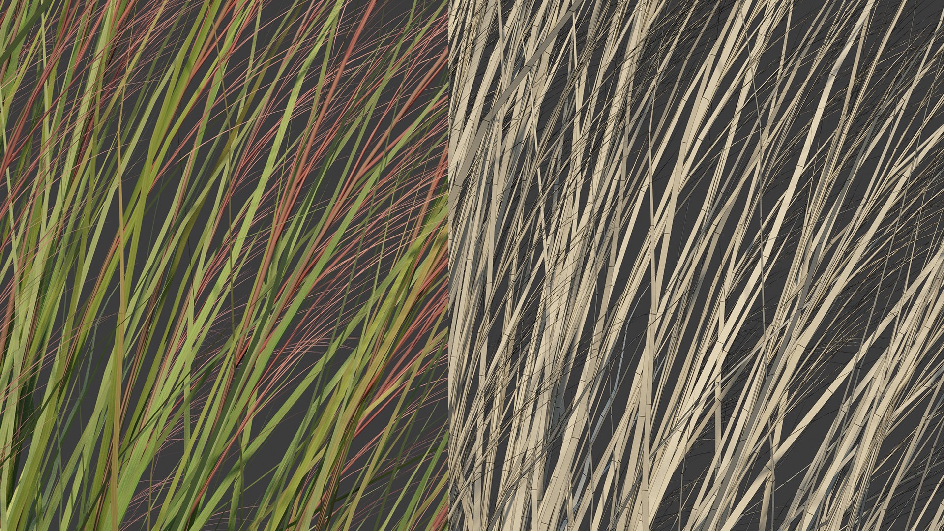 3D Purple Awn - TurboSquid 1664477