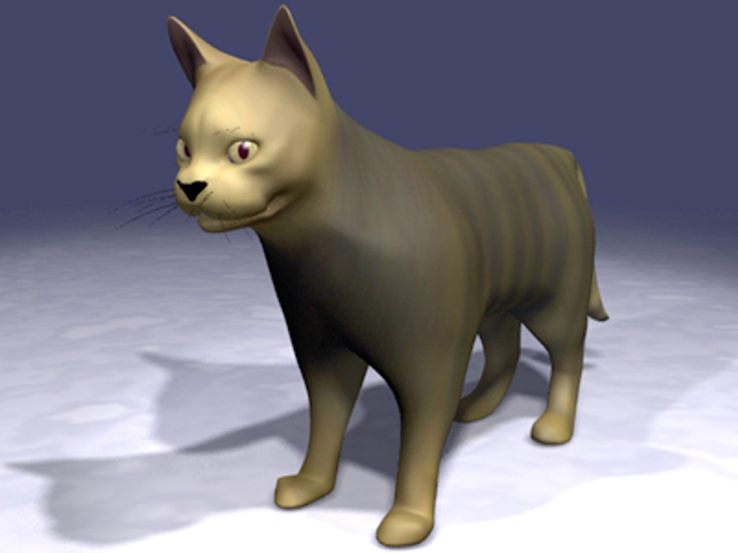 House Cat 3d Model