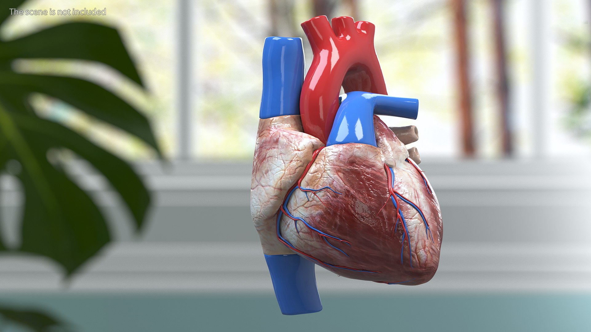 Boy Heart 3D Model - TurboSquid 1830823