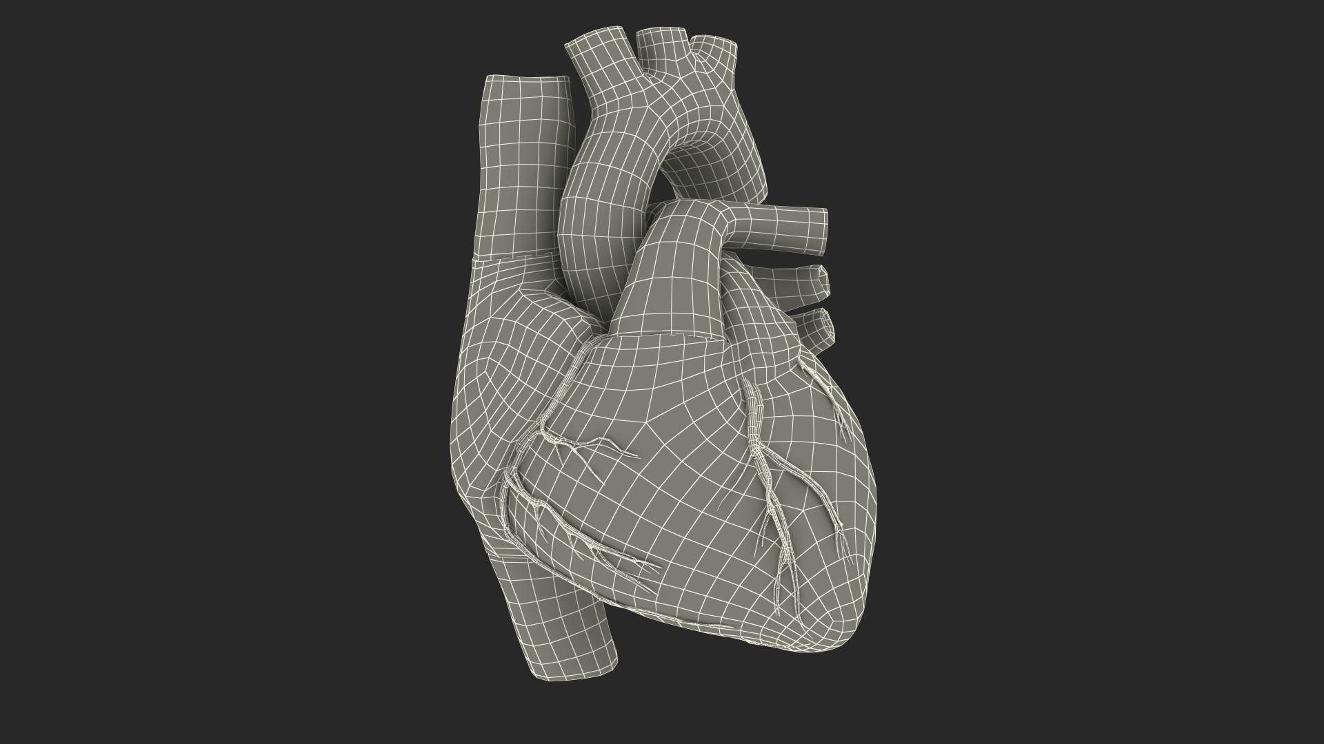 Boy Heart 3D Model - TurboSquid 1830823