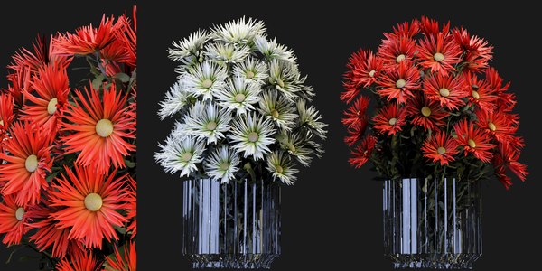 Cosmos Flower 3D Models for Download | TurboSquid