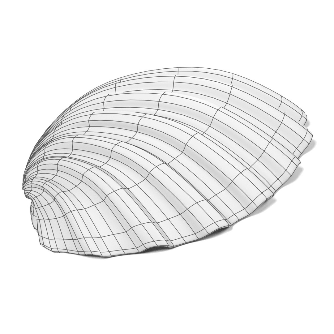 Cerastoderma Edule 3d 3ds