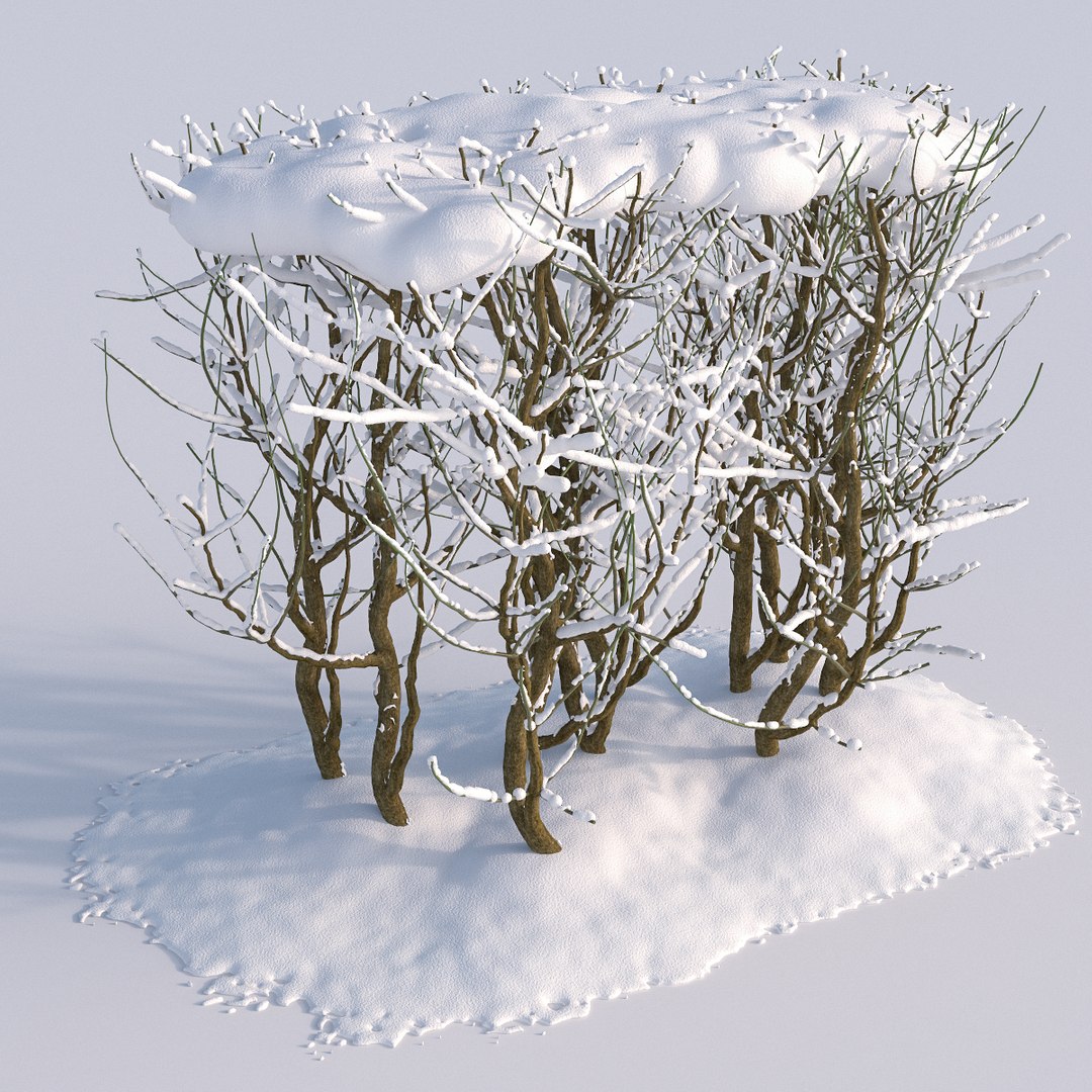 Set Snow Bushes 1 3d Max