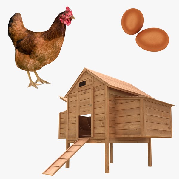 Chicken Coop 3D Models for Download | TurboSquid