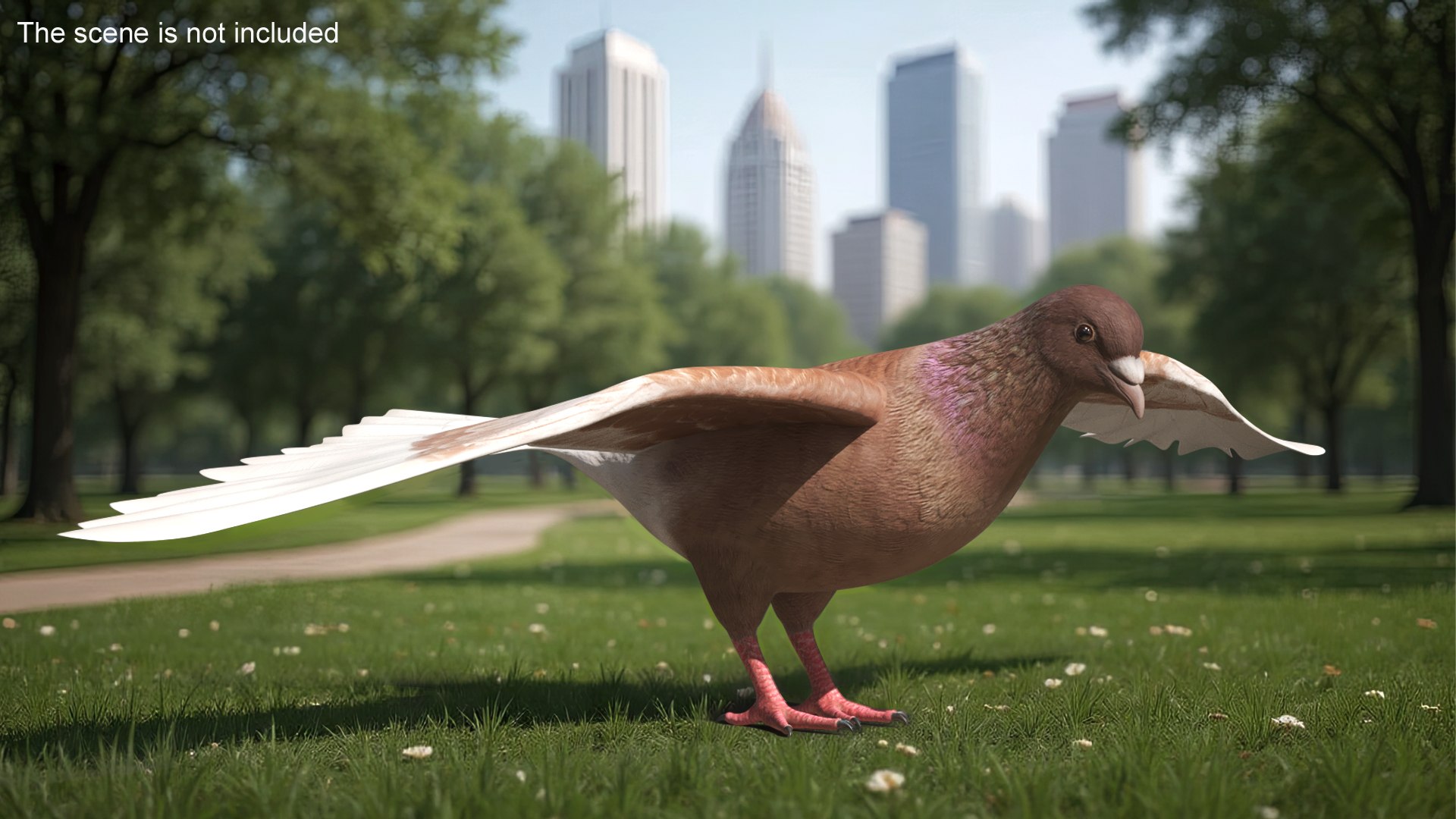 3D Low Poly Pigeon Spread Wings Brown Rigged For Maya - TurboSquid 2458379
