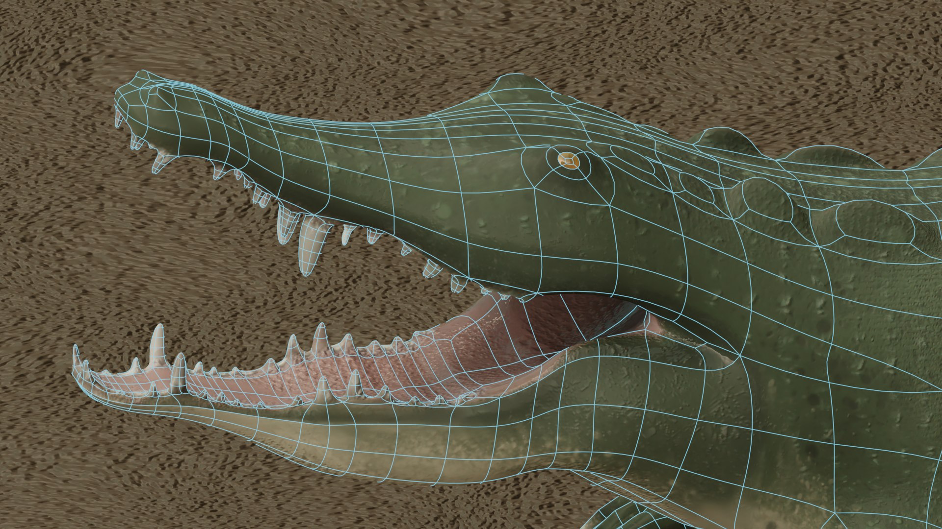 3D Model Crocodile - TurboSquid 2065690