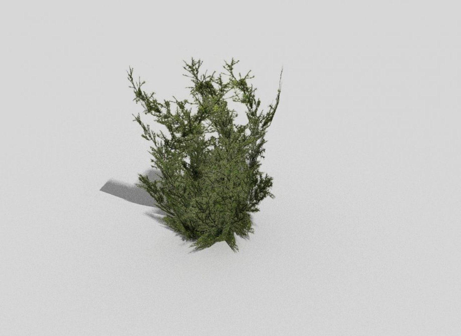 3D plant model - TurboSquid 1104746