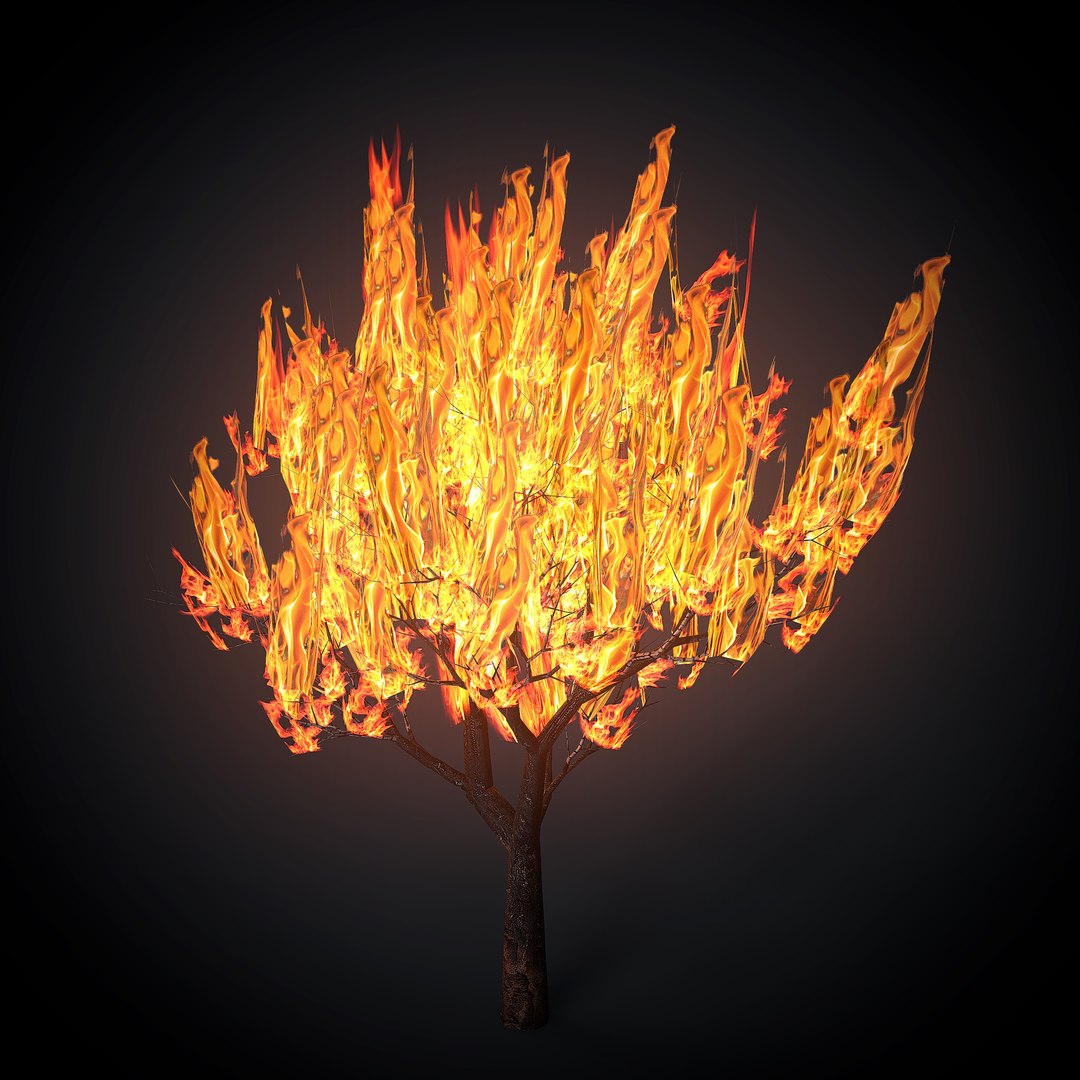 3D Burning Tree Forest - TurboSquid 1218478