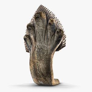 3D Naga Models | TurboSquid