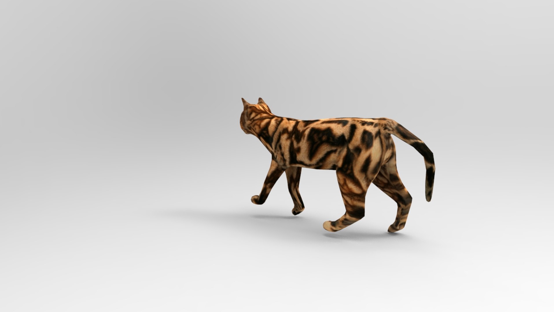 3D Cat Animations Model | 1142765 | TurboSquid