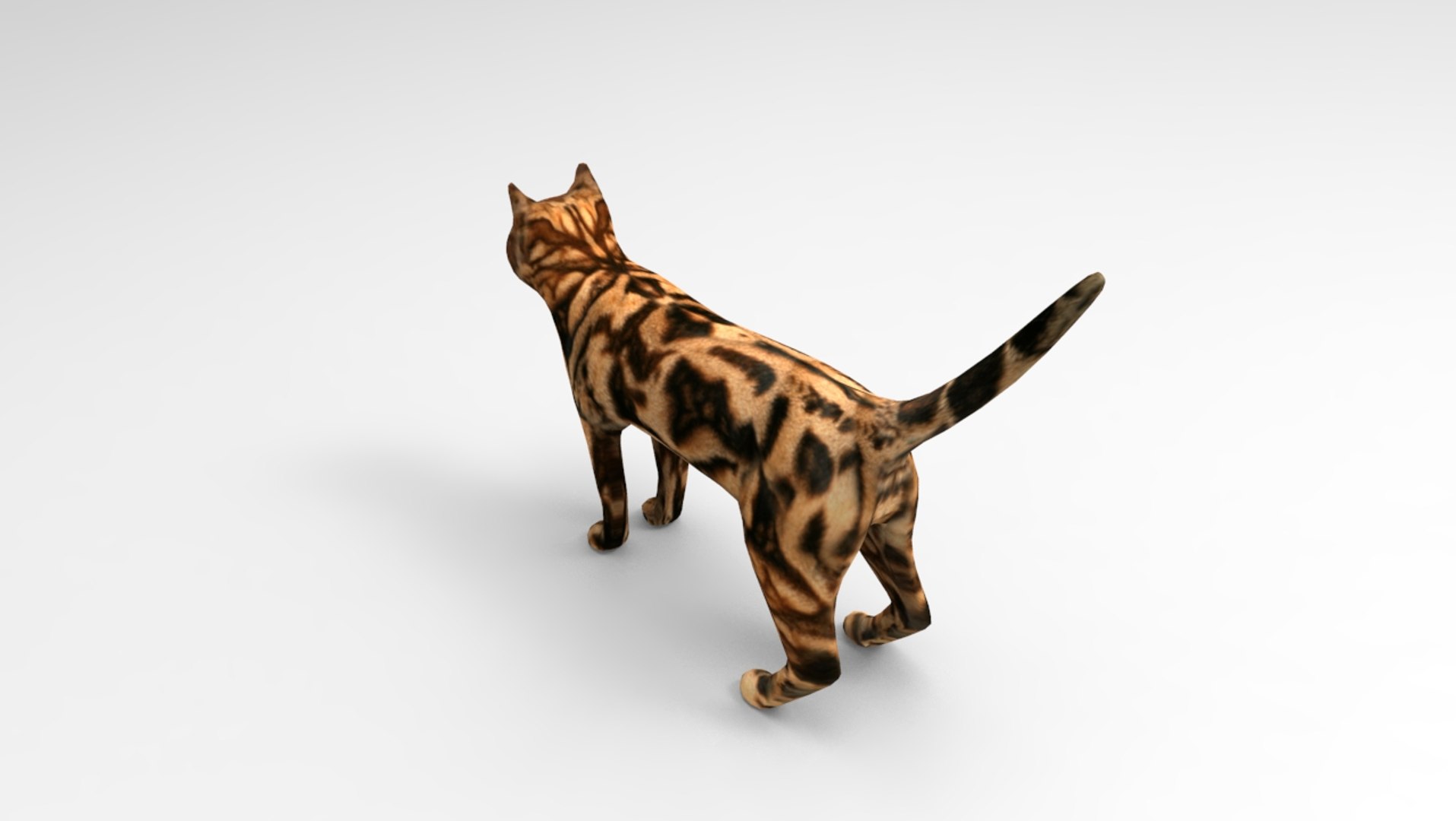 3D Cat Animations Model | 1142765 | TurboSquid