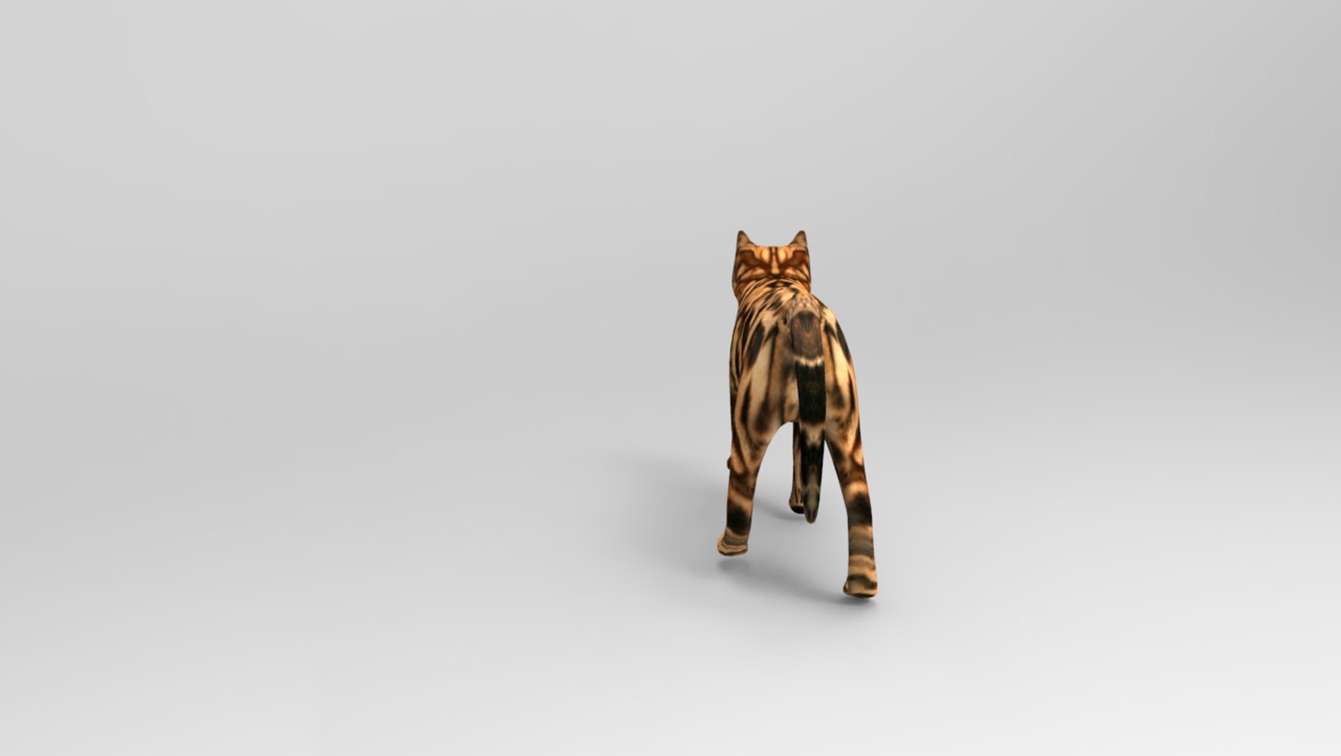 3D Cat Animations Model | 1142765 | TurboSquid