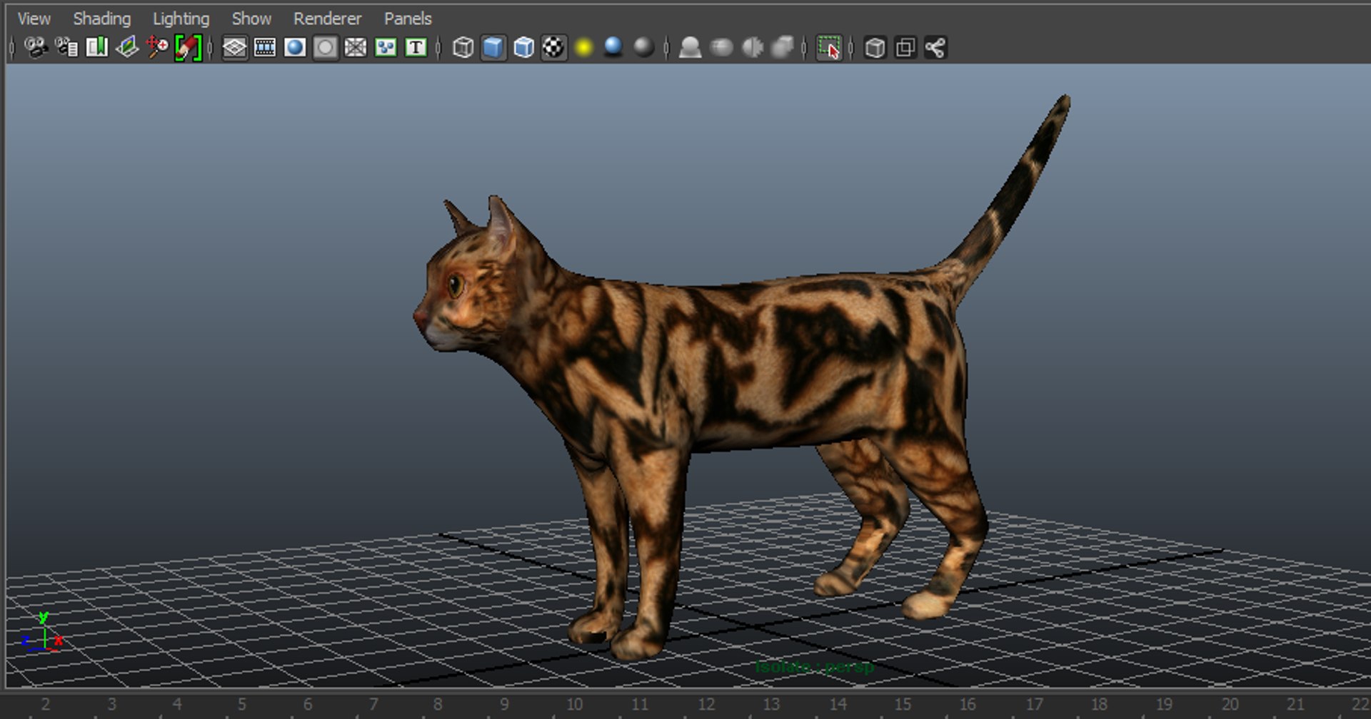 3D Cat Animations Model | 1142765 | TurboSquid