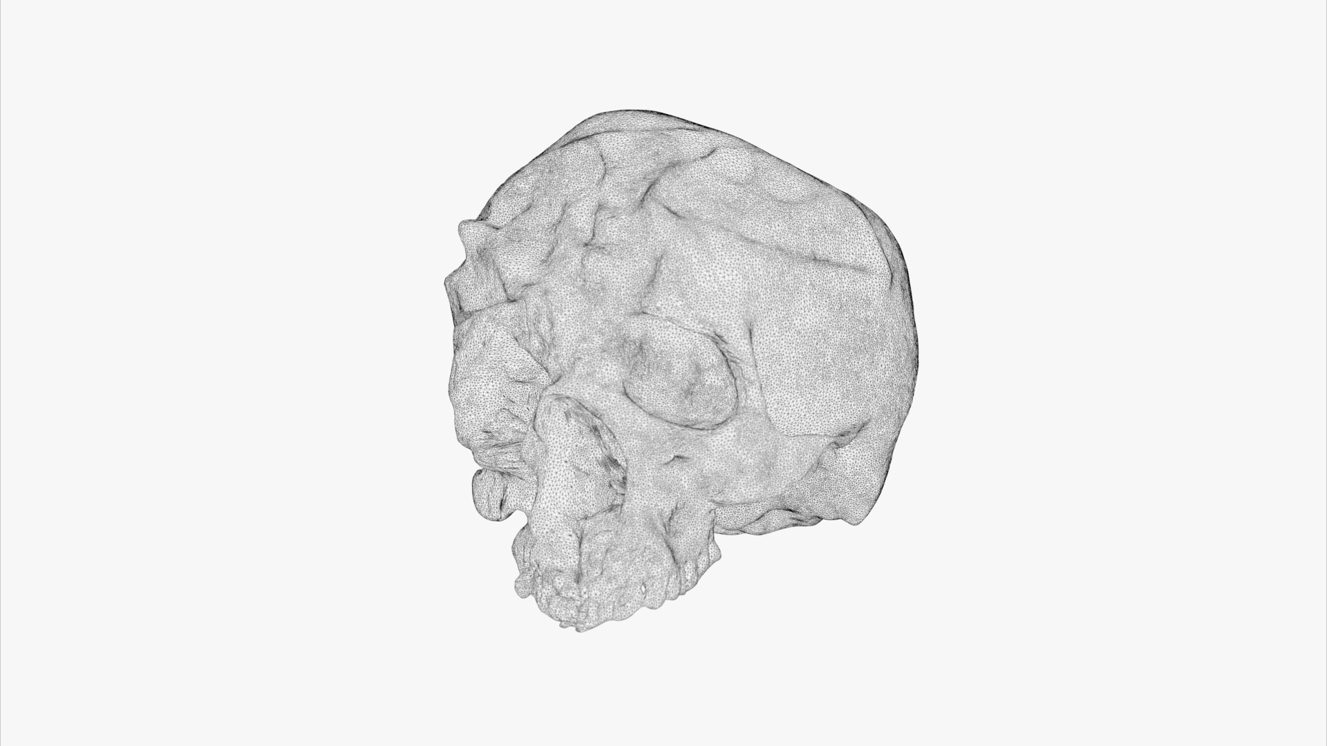 Horror Human Skull 3D Model - TurboSquid 2085611