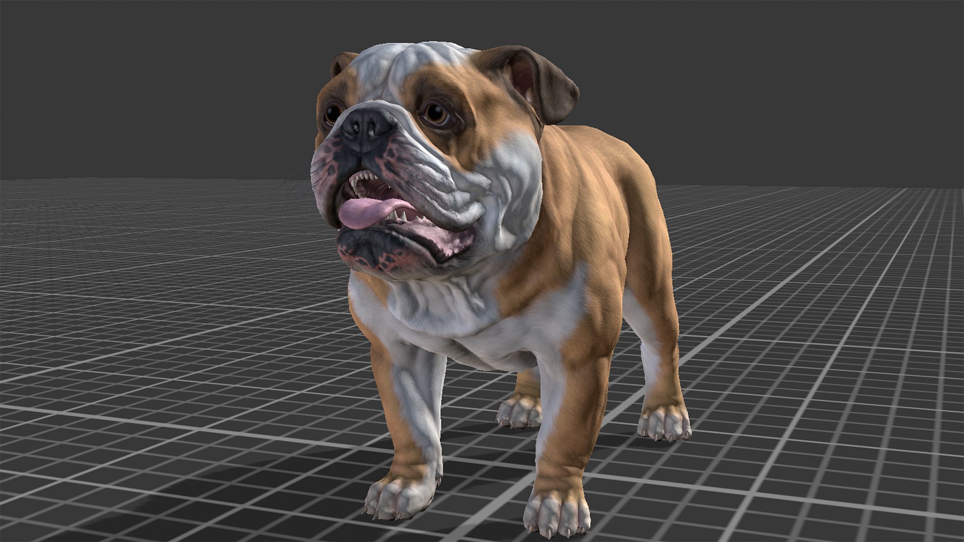 Dog - Bulldog 3D model - TurboSquid 1933257