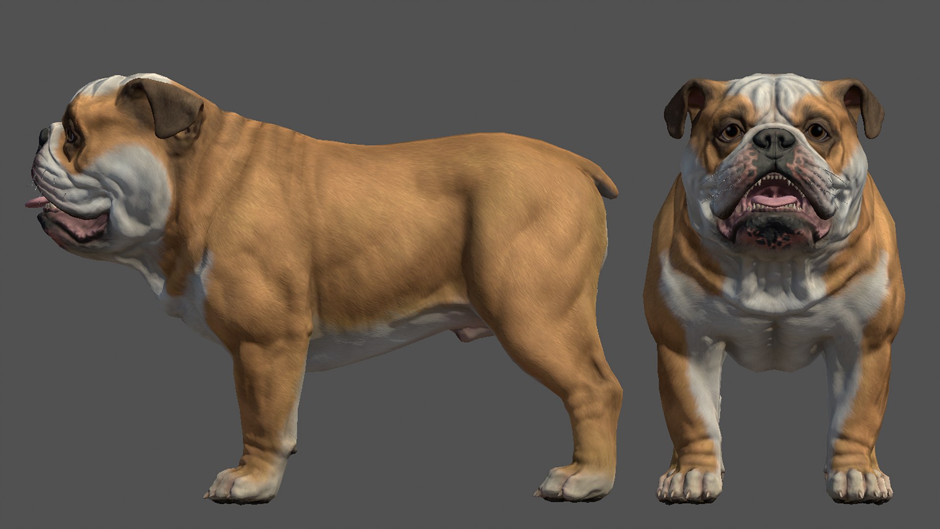 Dog - Bulldog 3D model - TurboSquid 1933257