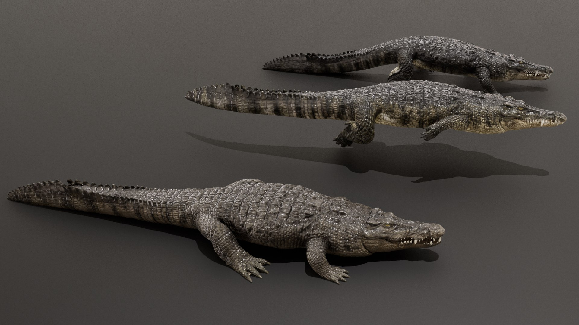 3D Crocodile Animated UNREAL Project Model - TurboSquid 2275358