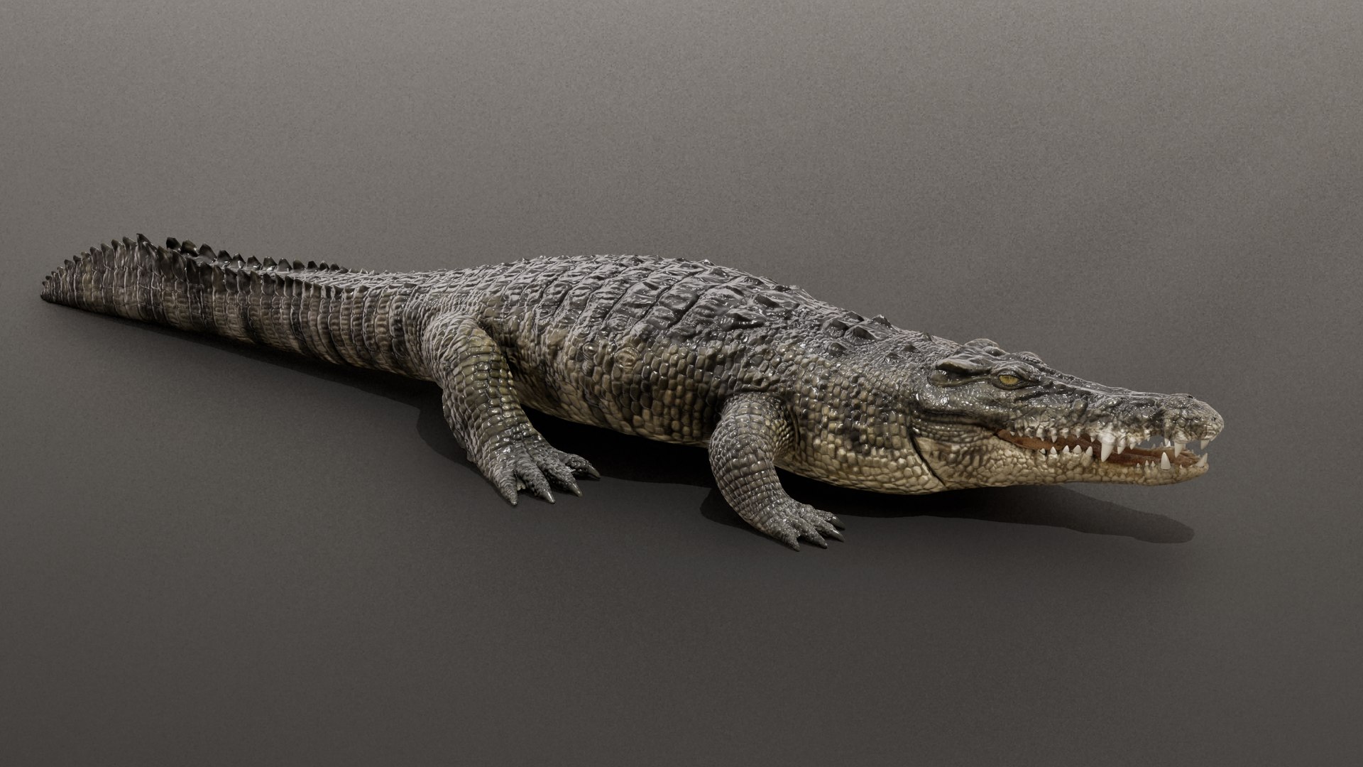 3D Crocodile Animated UNREAL Project Model - TurboSquid 2275358