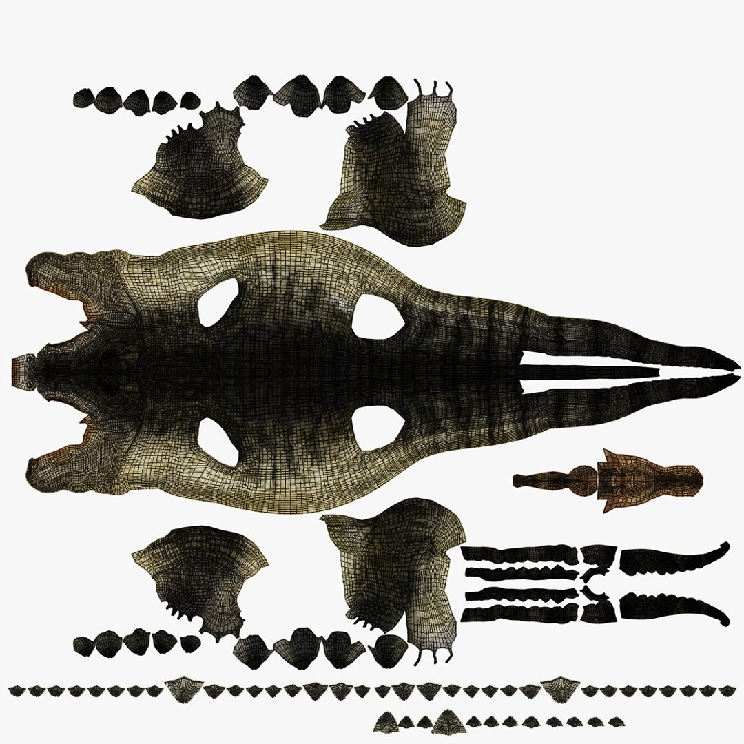 3D Crocodile Animated UNREAL Project Model - TurboSquid 2275358