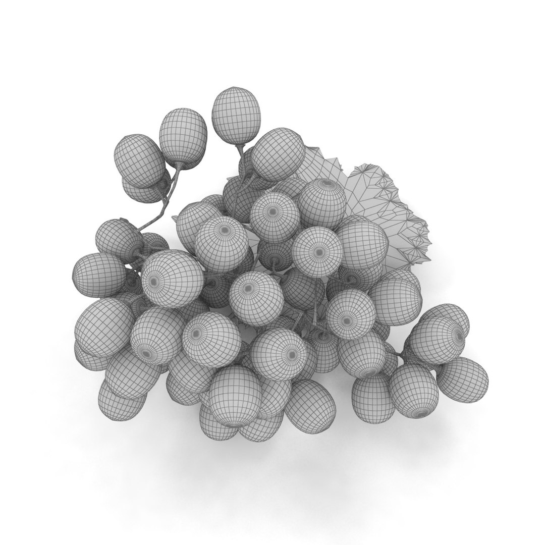 3D Model Grapes Leaf White - TurboSquid 1289980