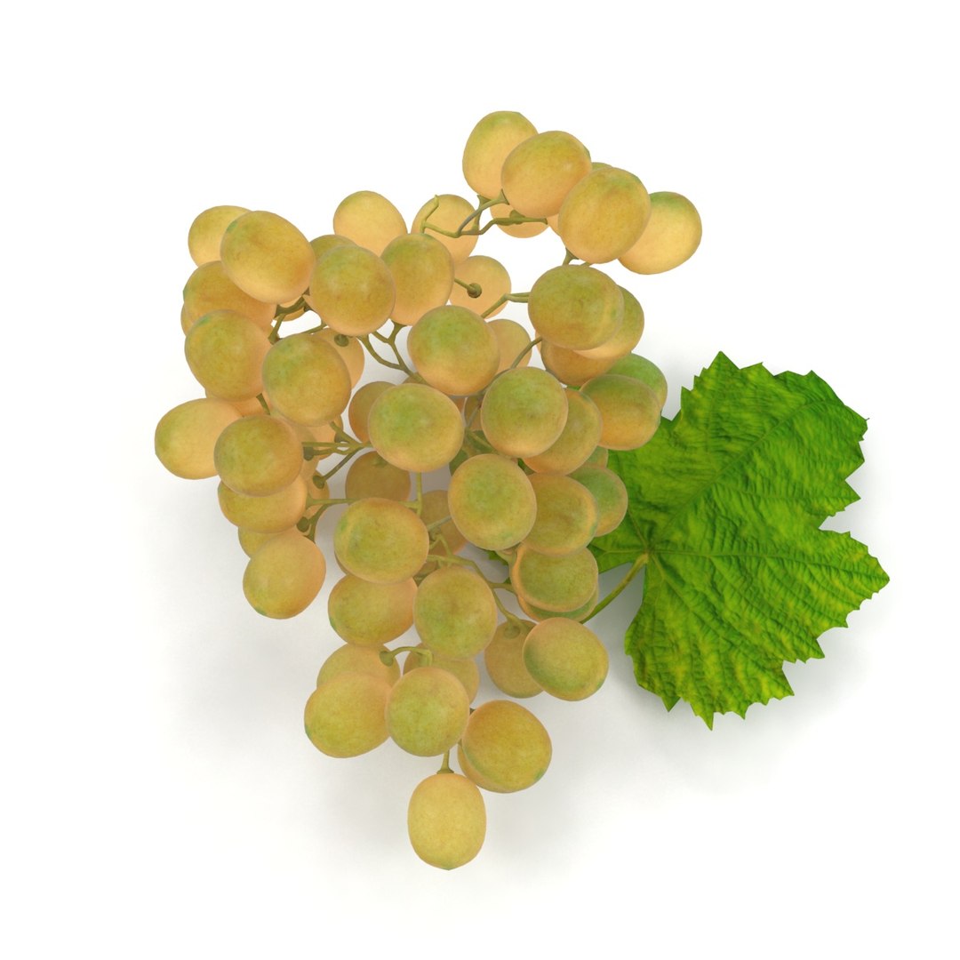 3D Model Grapes Leaf White - TurboSquid 1289980