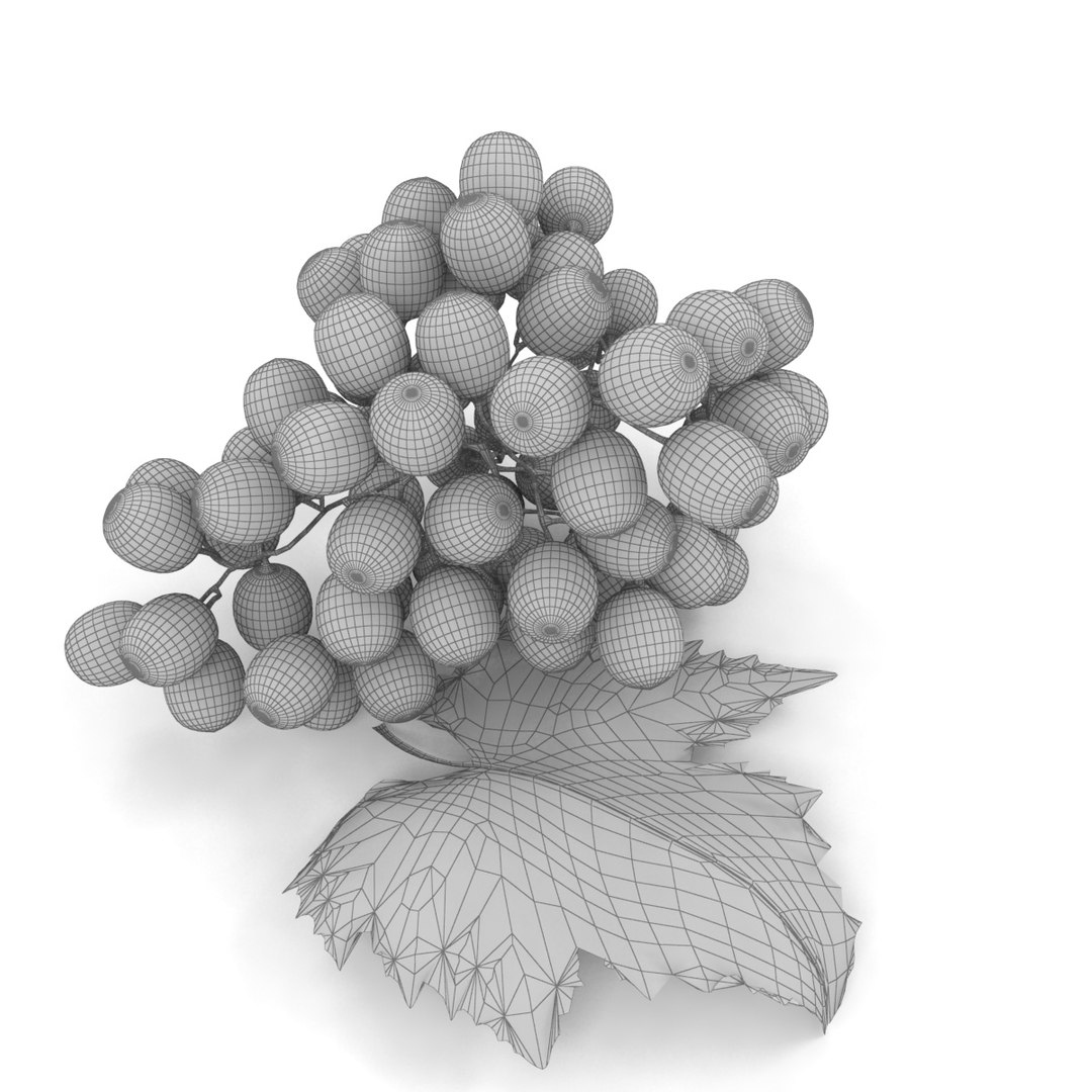 3D Model Grapes Leaf White - TurboSquid 1289980