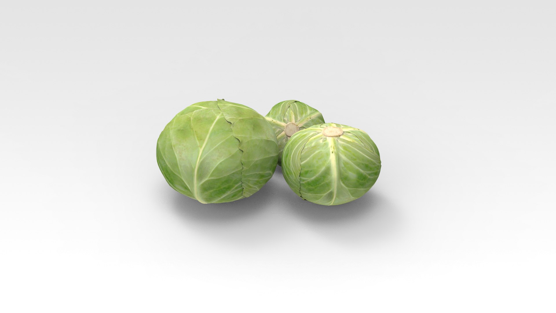 3D Cabbage - TurboSquid 1751468