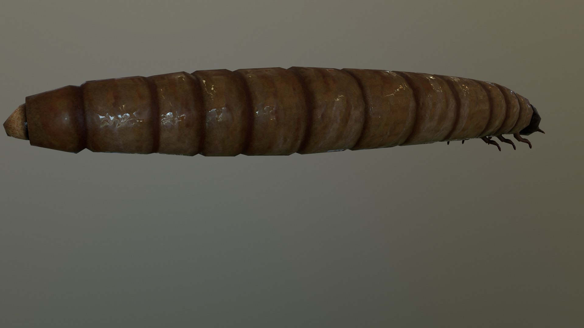 3D Worm Model - TurboSquid 1717968