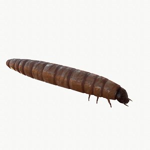 3D Realistic Maggot - TurboSquid 1425173