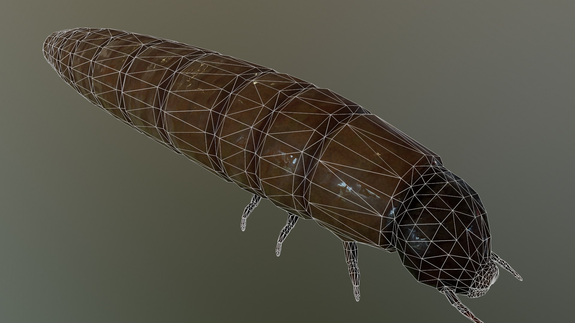 3D Worm Model - TurboSquid 1717968
