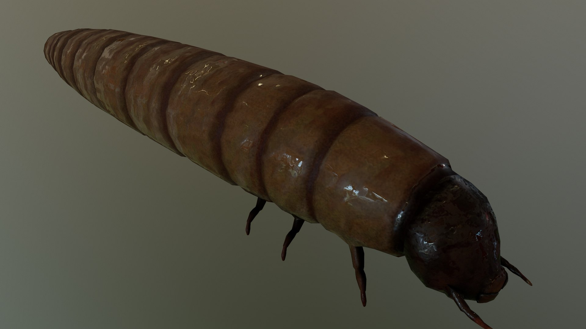 3D Worm Model - TurboSquid 1717968