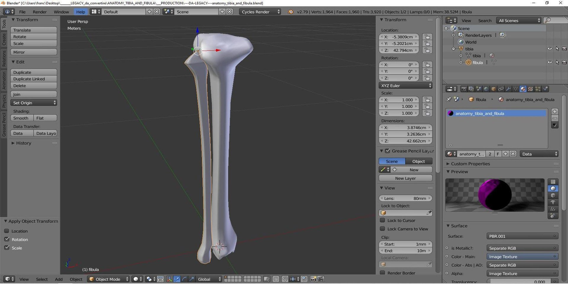 Tibia Fibula 3D Model - TurboSquid 1174816