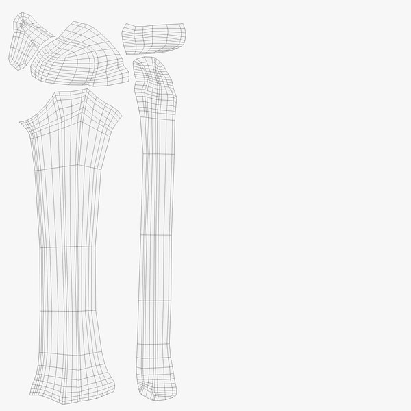 Tibia fibula 3D model - TurboSquid 1174816