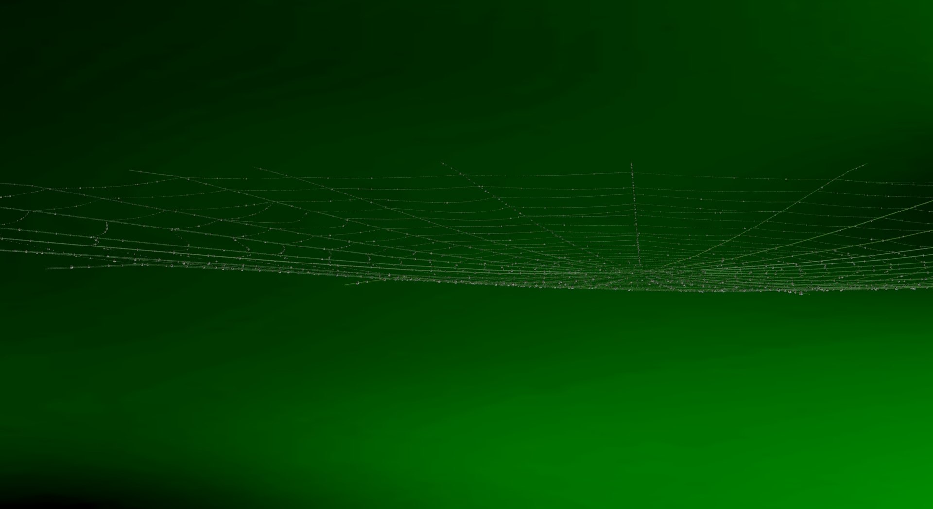 Spiders Web 3d Blend