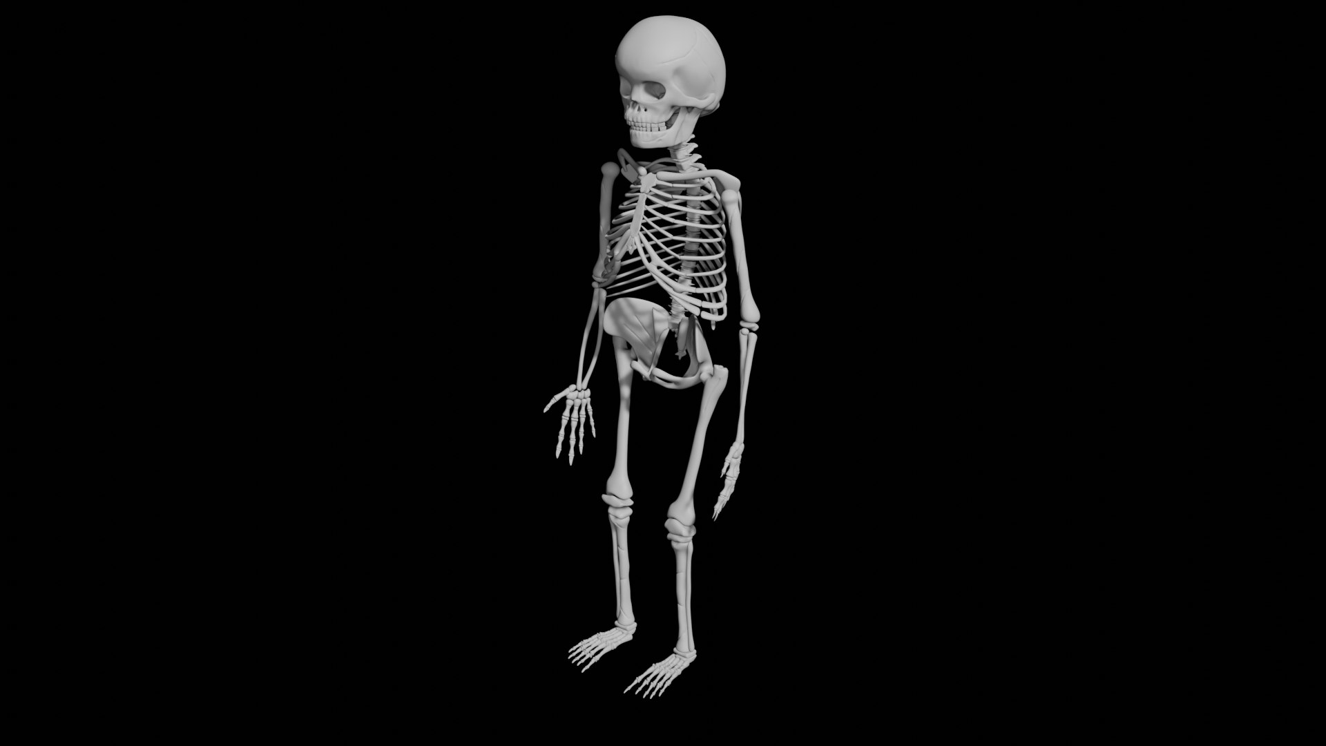 3D Child Skeleton Model - TurboSquid 1840196