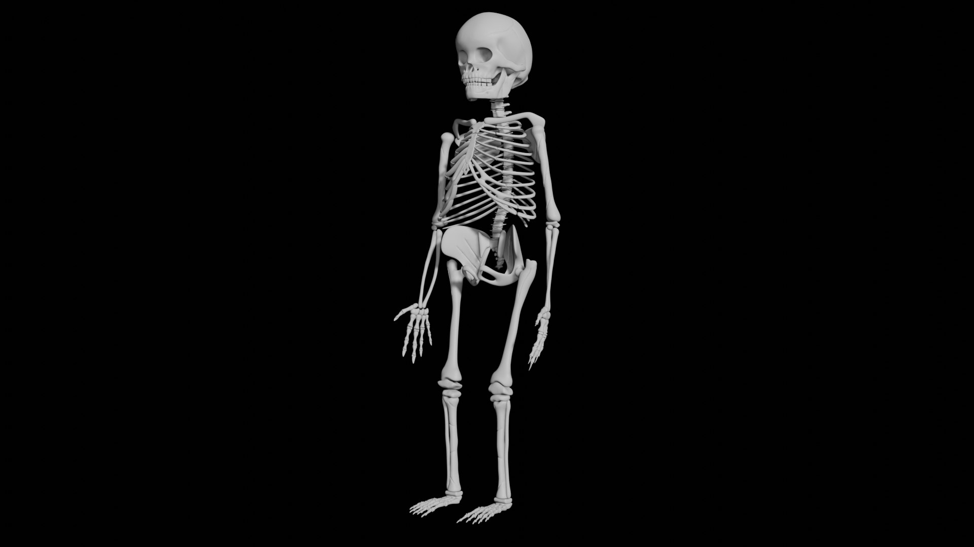 3D Child Skeleton Model - TurboSquid 1840196