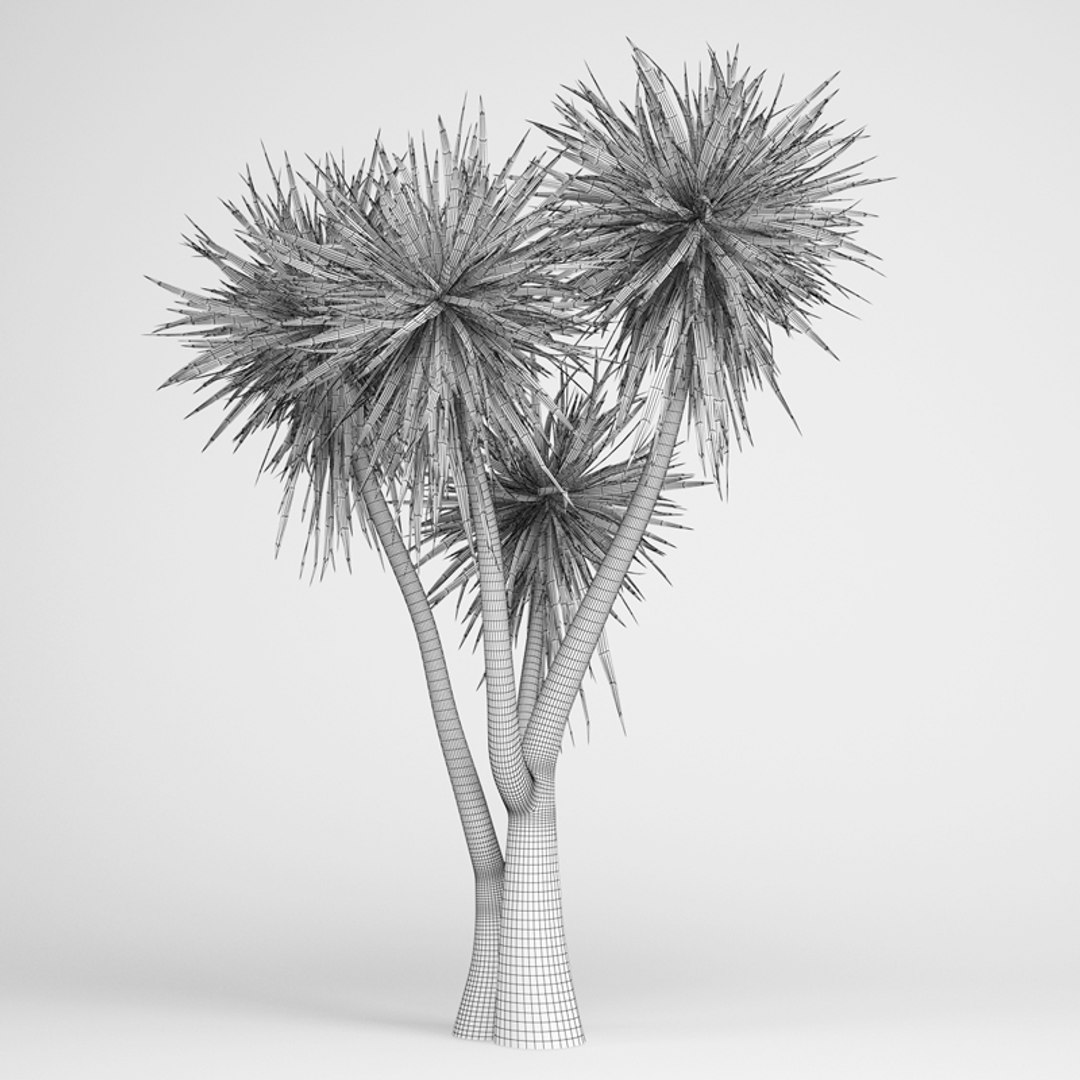 Yucca 09 3d Model