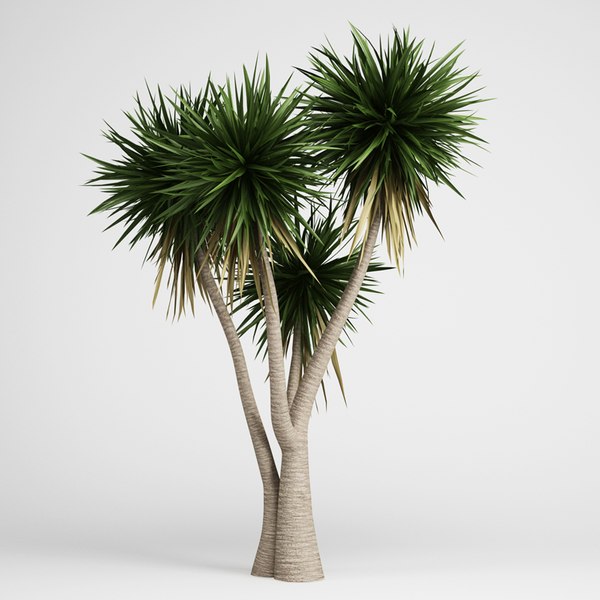 yucca 09 3d model