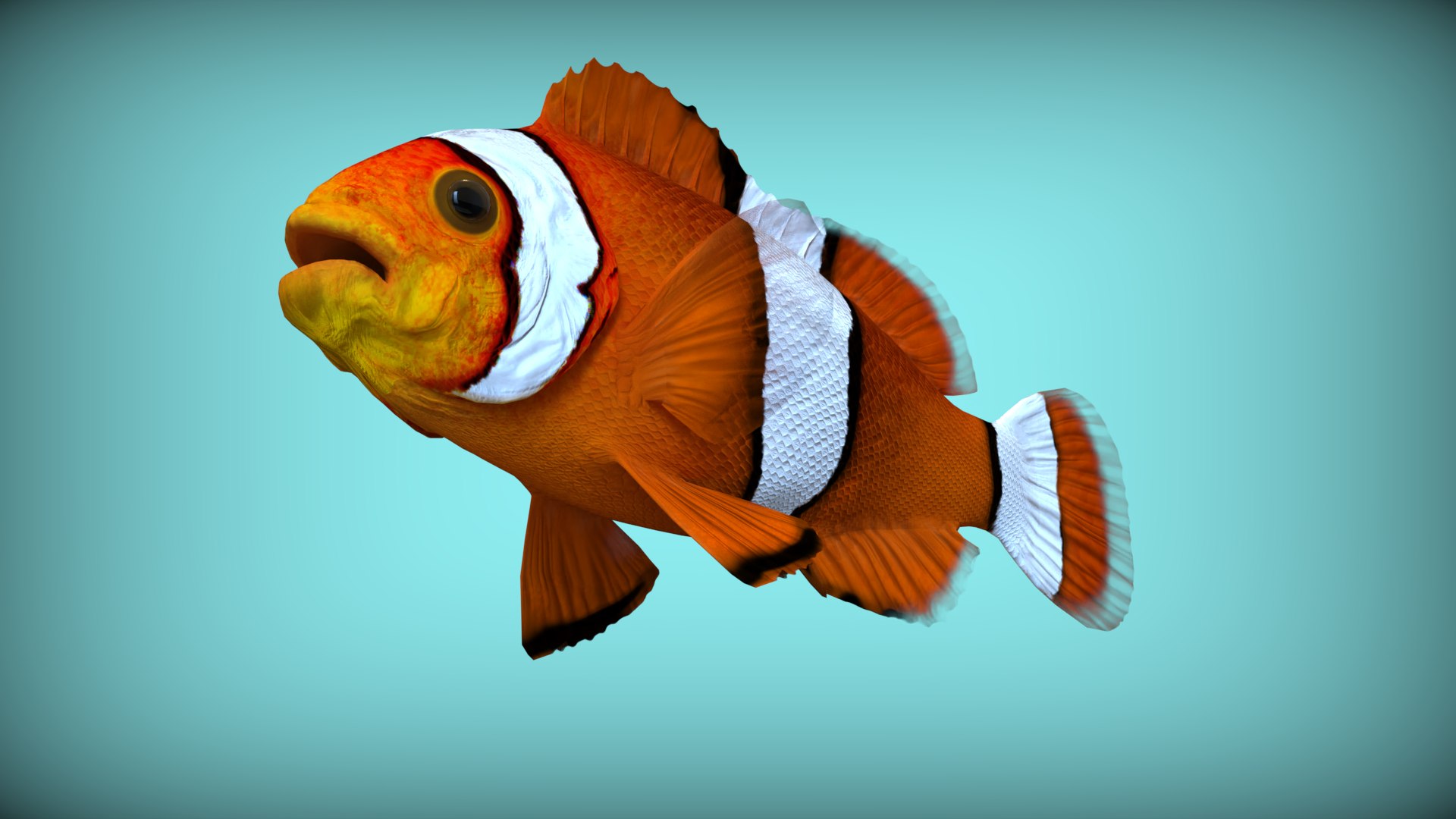 Clownfish 3D Model - TurboSquid 2314009