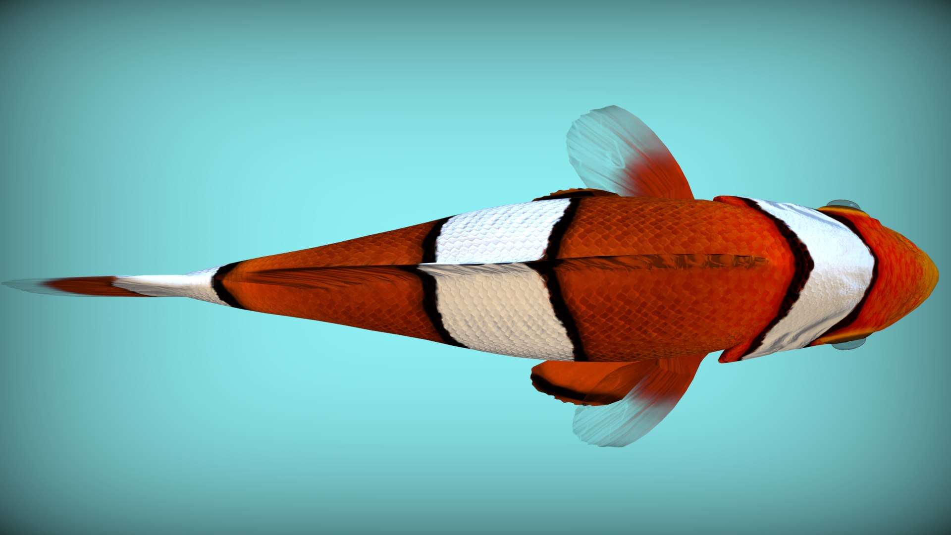 Clownfish 3D Model - TurboSquid 2314009