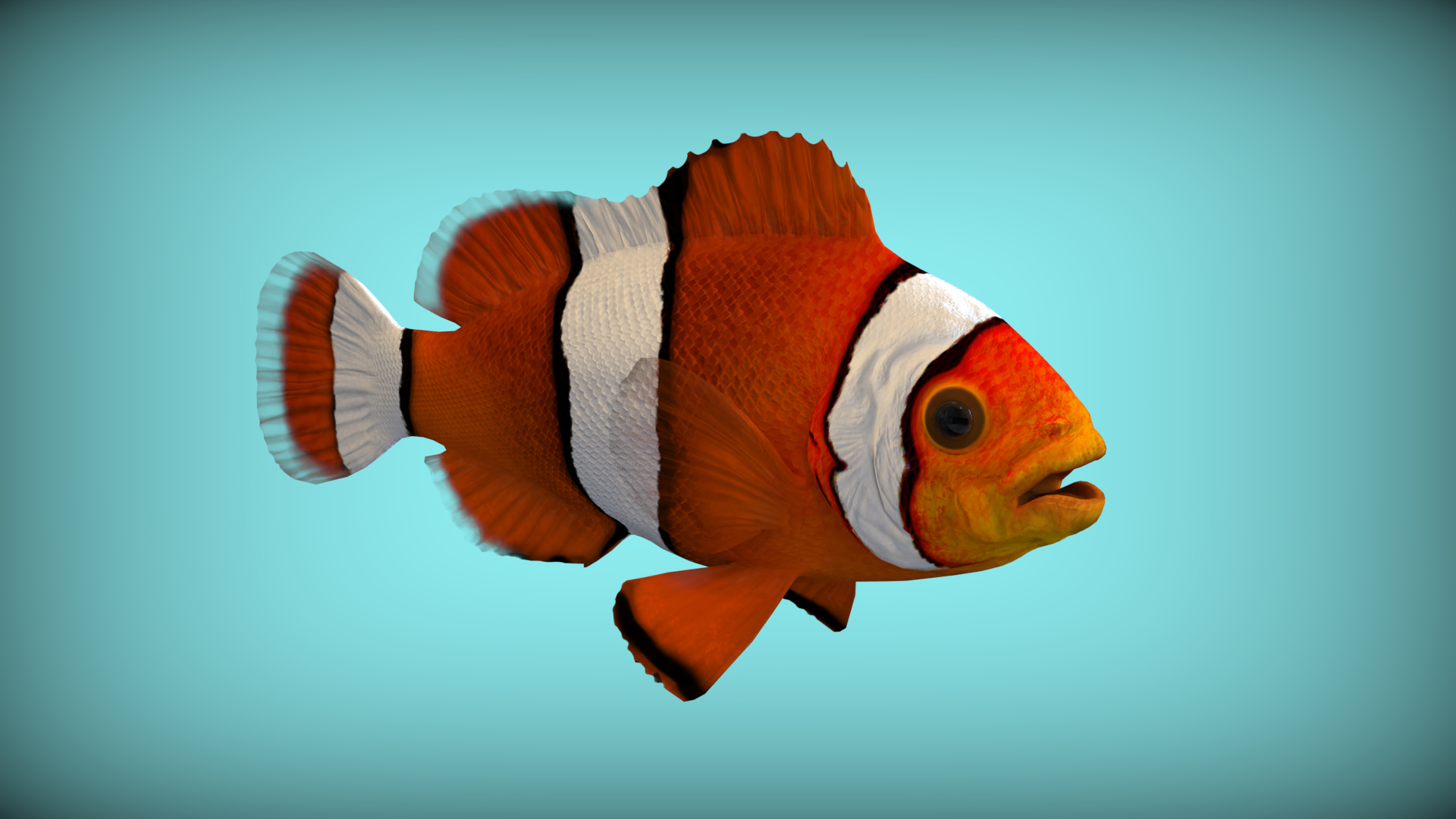 Clownfish 3D Model - TurboSquid 2314009