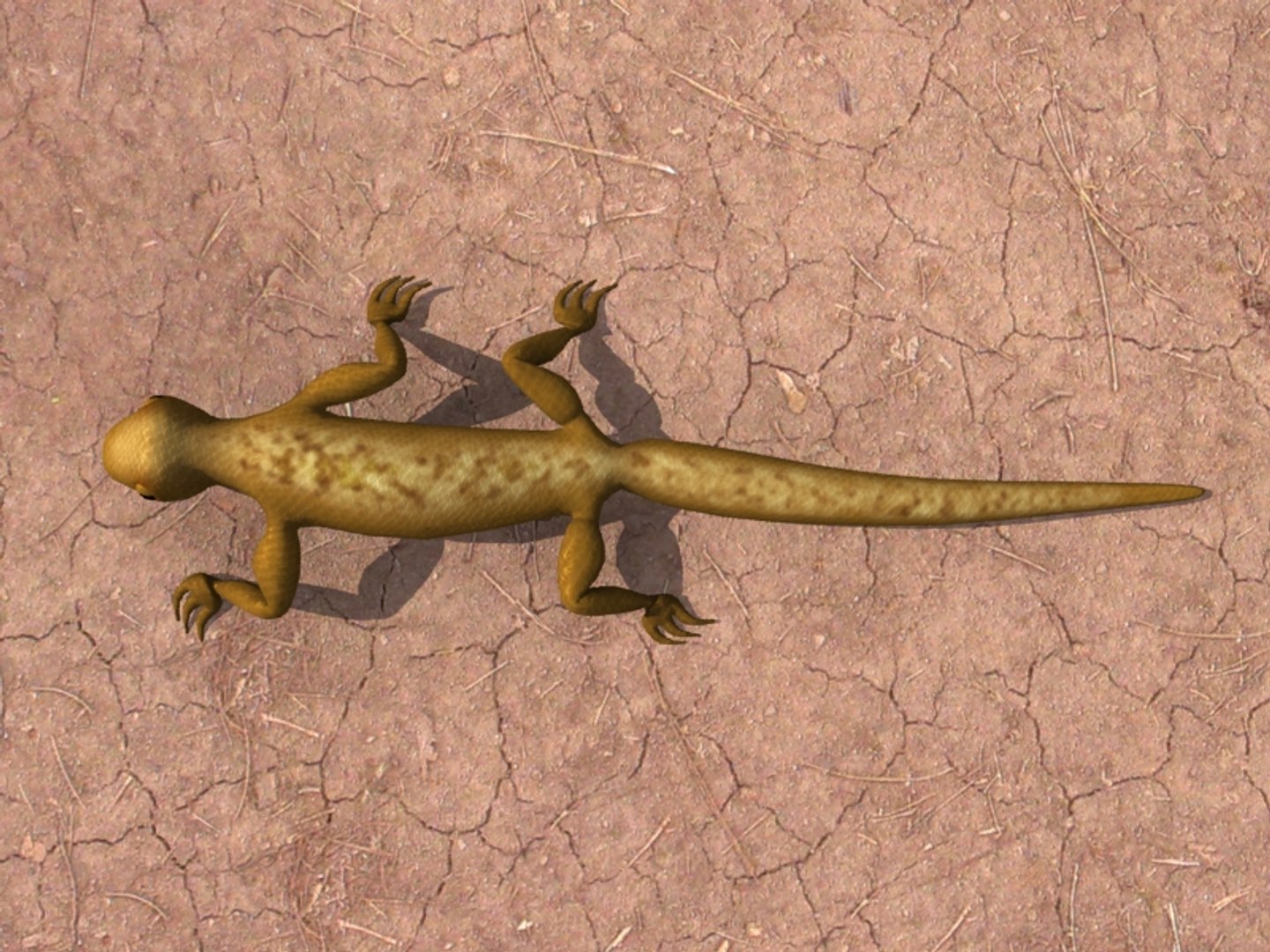 3d Gecko Lizard