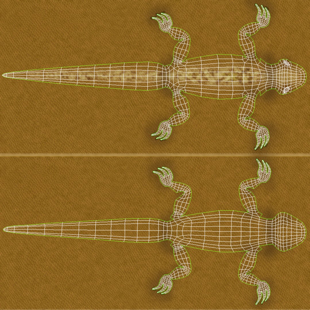 3d Gecko Lizard