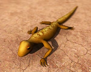 Animated Lizard 3D Models for Download | TurboSquid