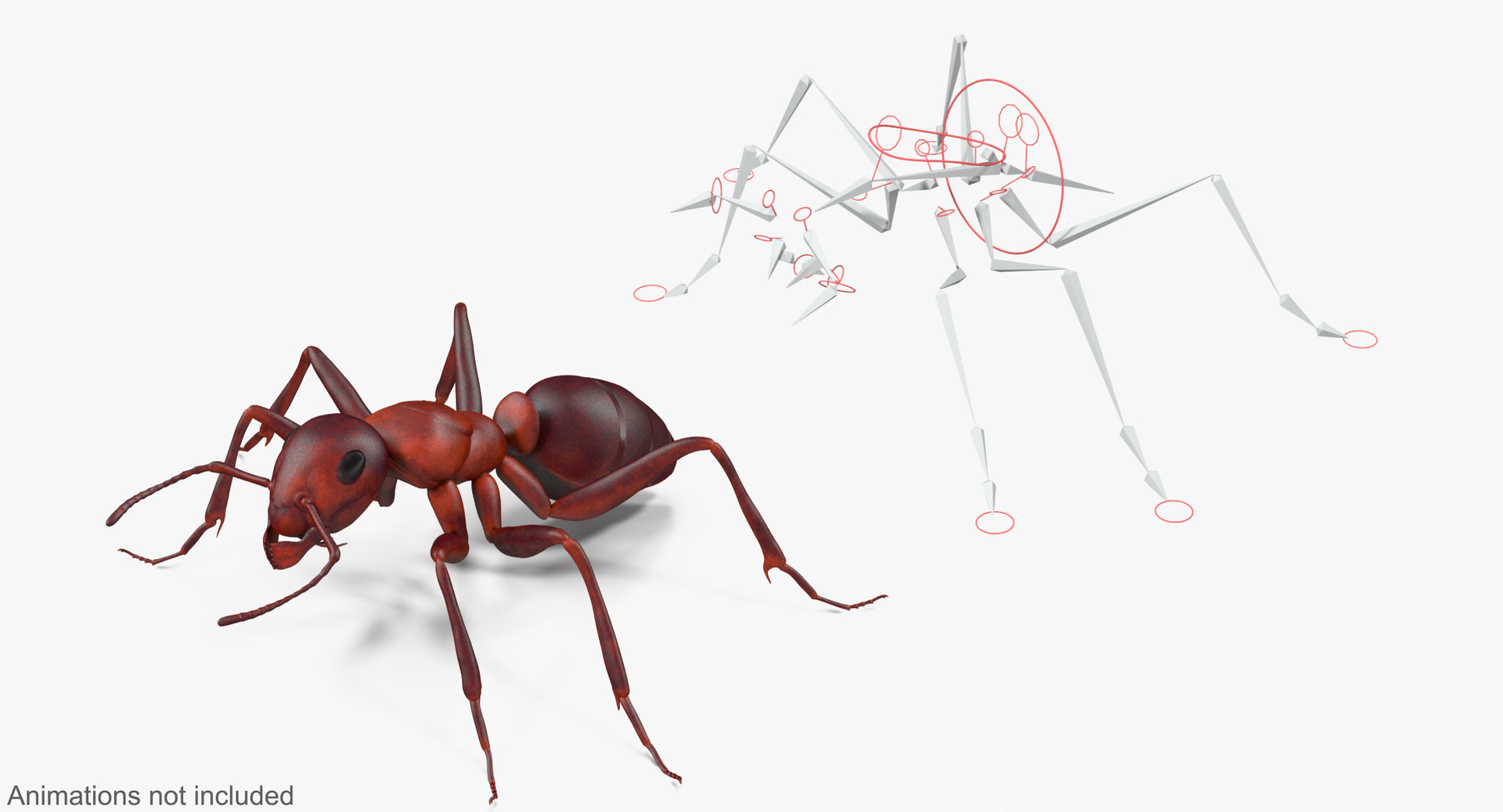 3d Model Of Ant Rigged