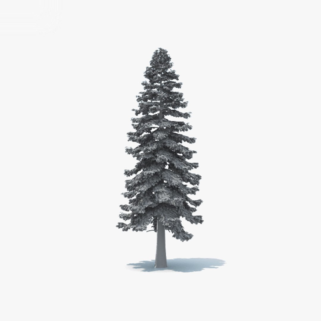 3D Model Redwood Tree - TurboSquid 1482670